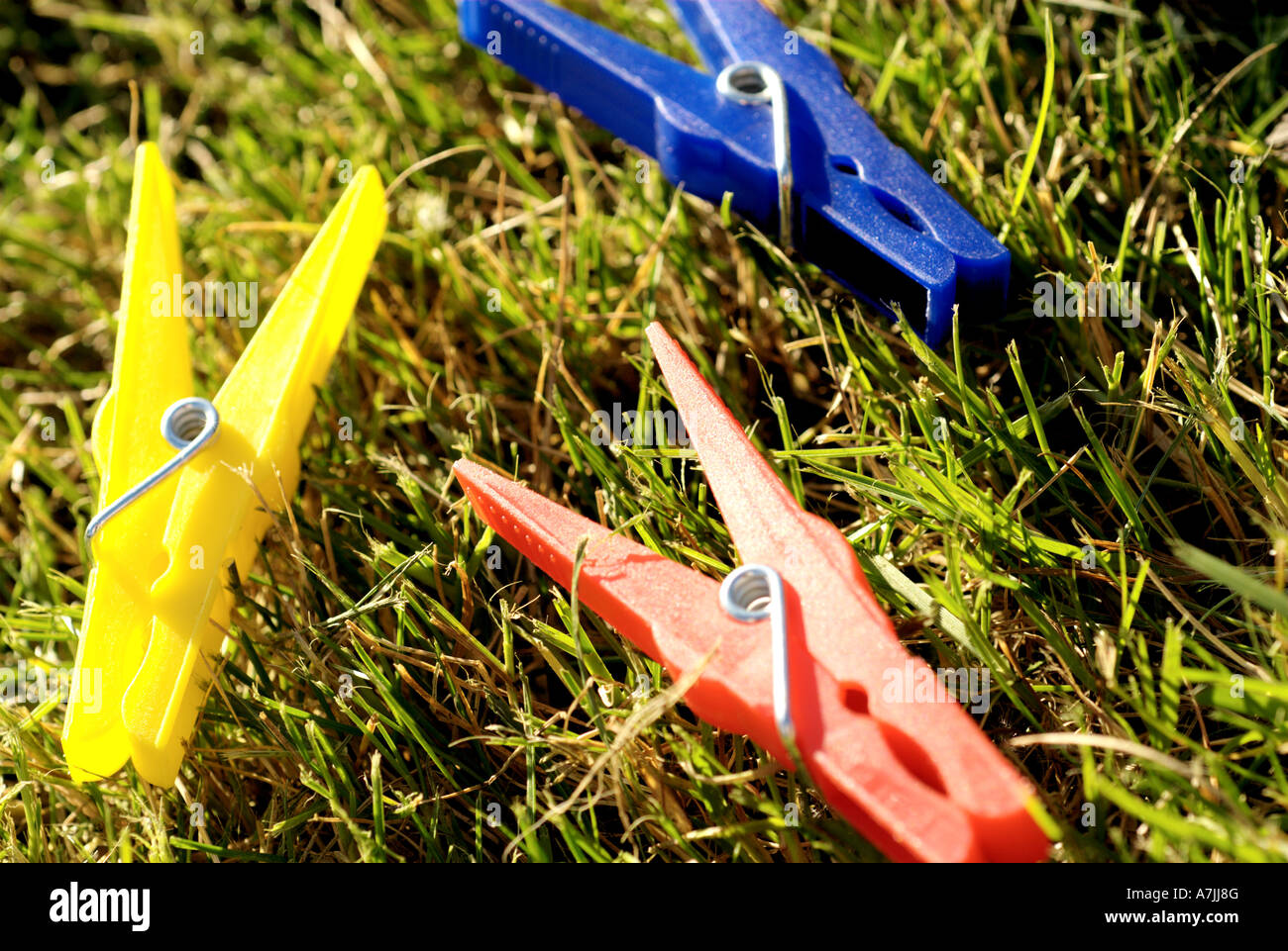 Three pegs on the grass Stock Photo - Alamy
