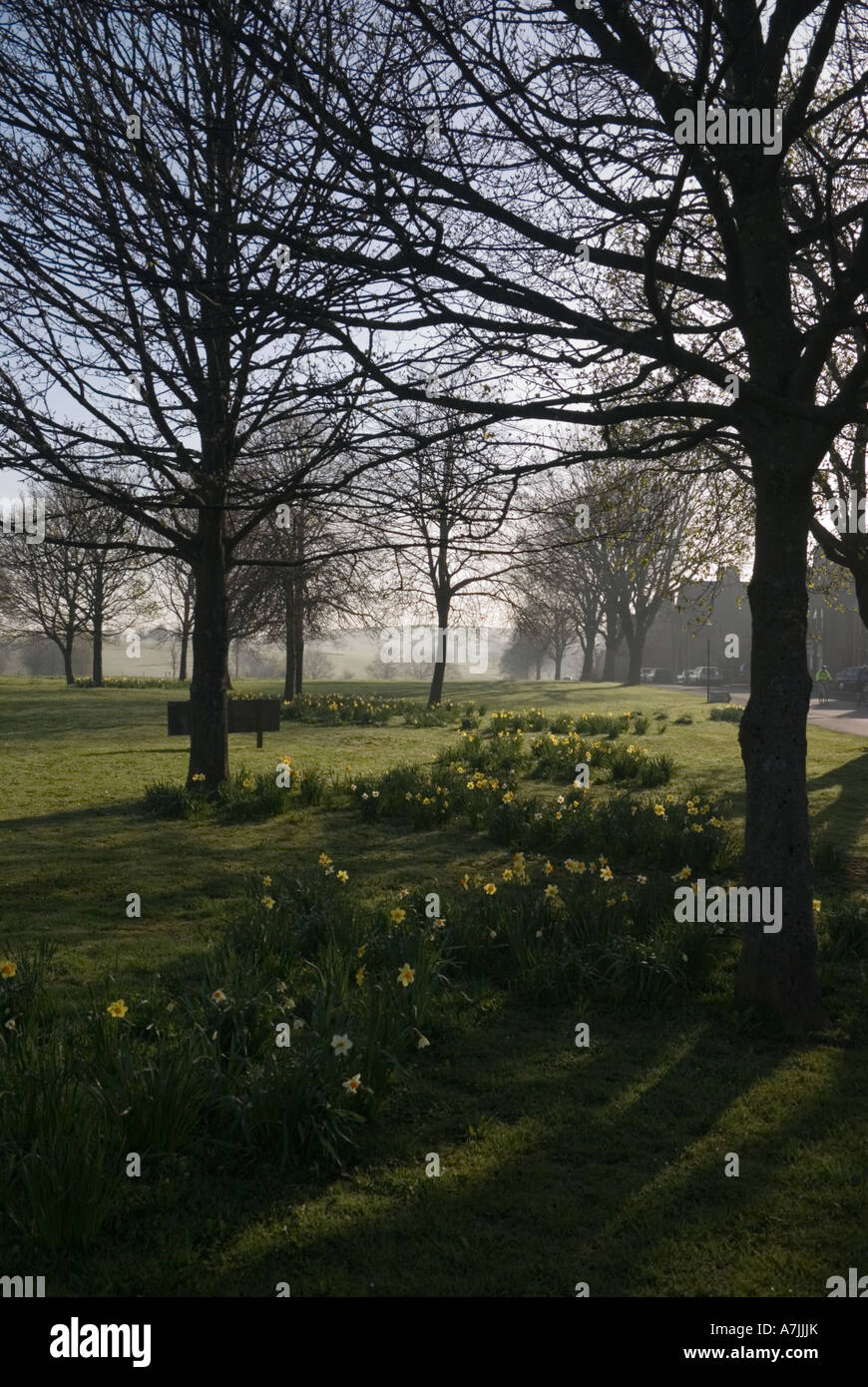 Early Springtime Morning Stock Photo - Alamy