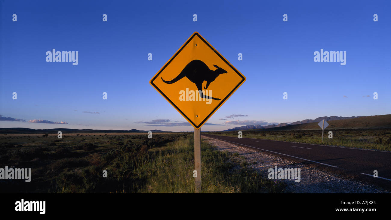 Australia South Australia Kangaroo Crossing sign along highway through ...
