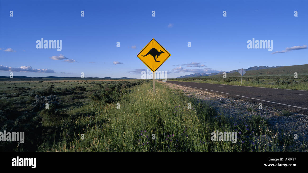 Australia South Australia Kangaroo Crossing sign along highway through ...
