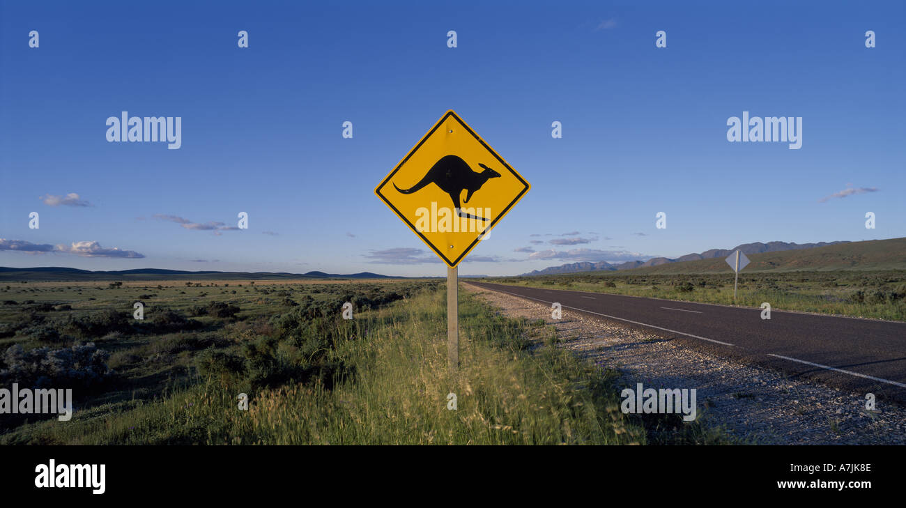 Australia South Australia Kangaroo Crossing sign along highway through ...
