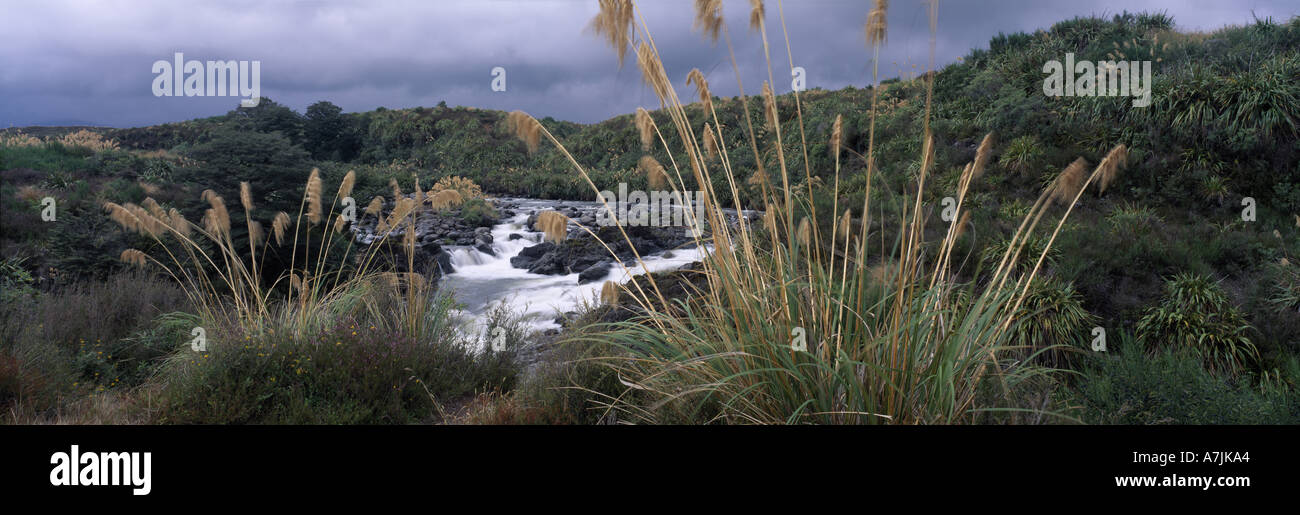 Mahuia river hi-res stock photography and images - Alamy