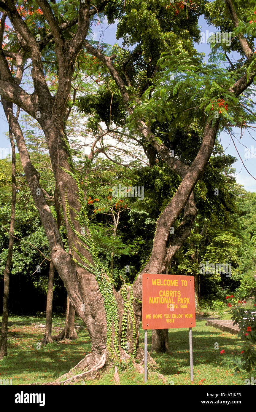 Dominica West Indies Caribbean Cabrits National Park Welcome Sign Stock ...