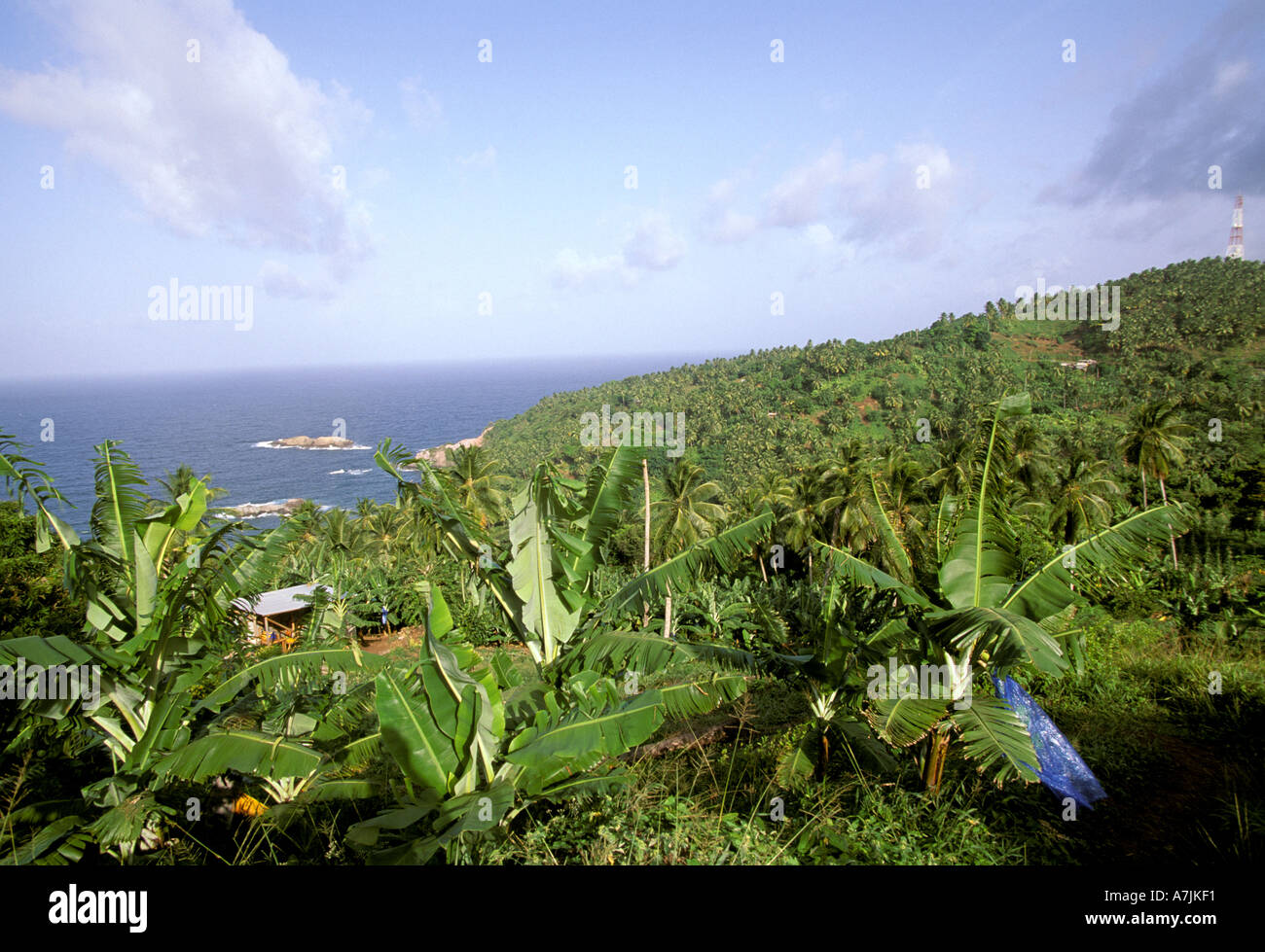 Dominica west indies caribbean carib hi-res stock photography and ...