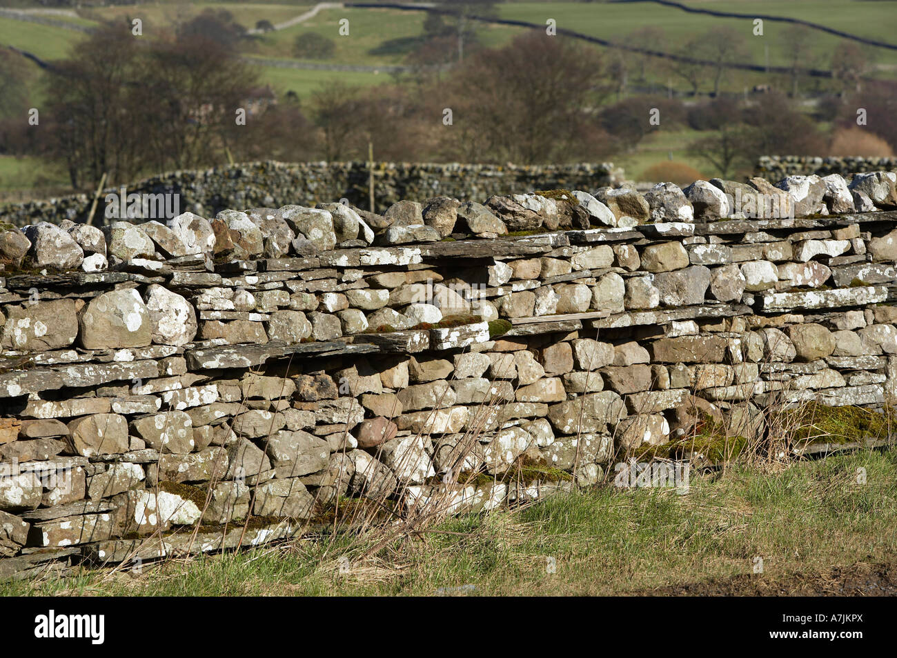 Dry Stone Wall Wensleydale Yorkshire Dales National Park Stock Photo ...