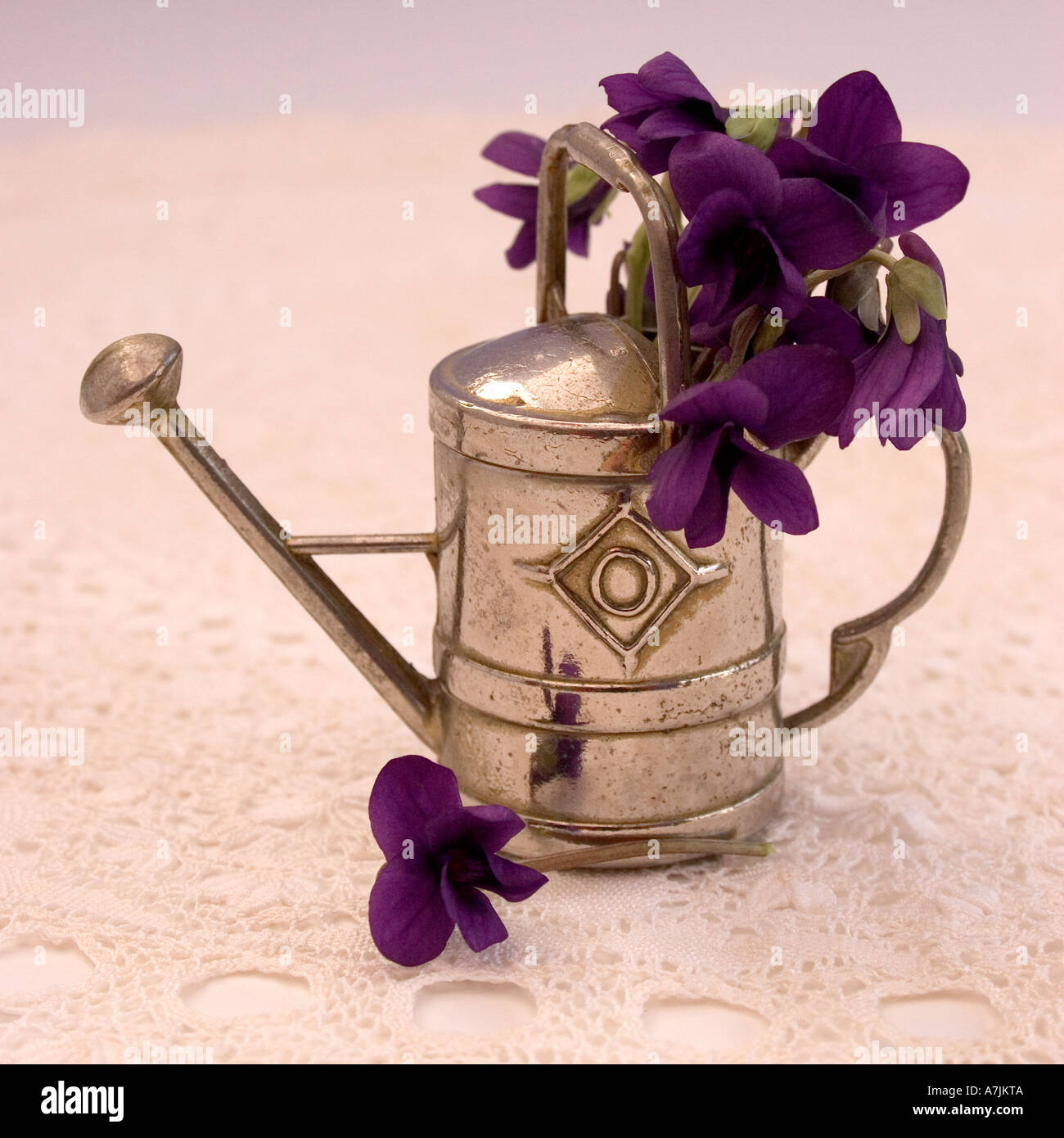 Sweet violets miniature hi-res stock photography and images - Alamy