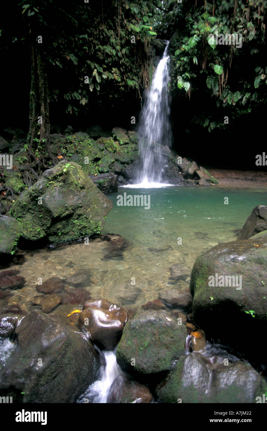 Dominica Emerald Pool famous rainforest landmark destination popular ...