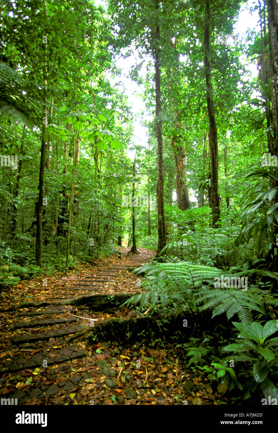 Syndicate trail dominica hi-res stock photography and images - Alamy