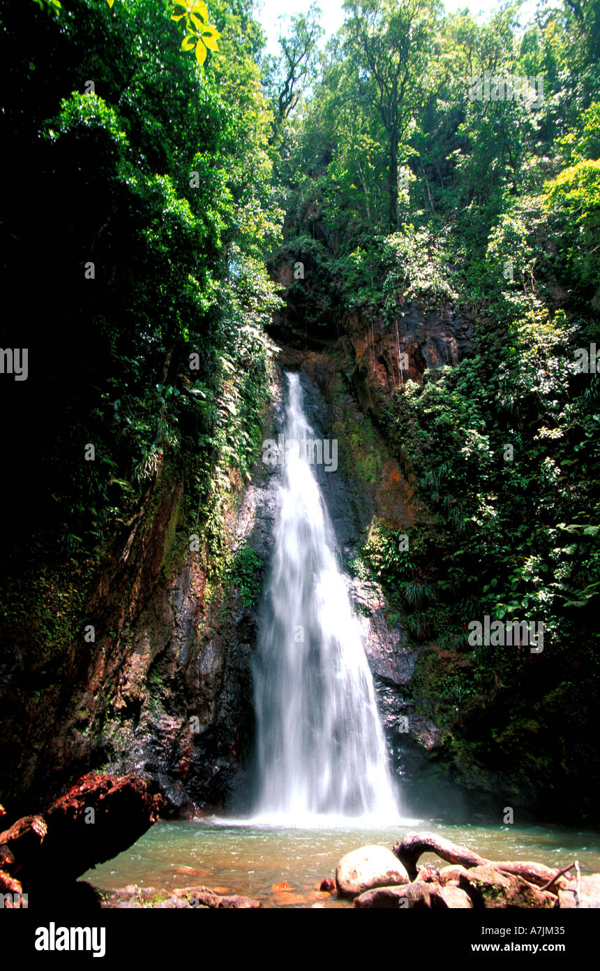 Dominica Milton Falls waterfall on way to Syndicate Trail, caribbean ...