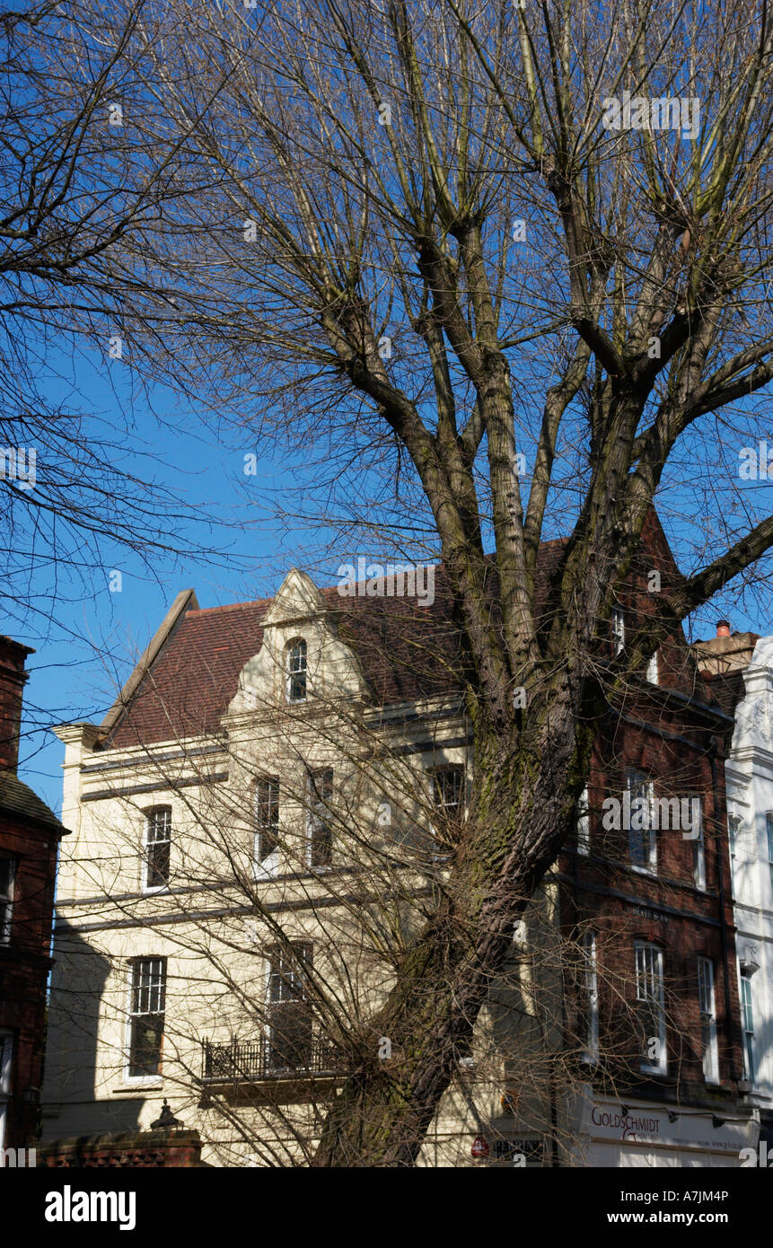 Architecture and tree in Hampstead London England Stock Photo - Alamy