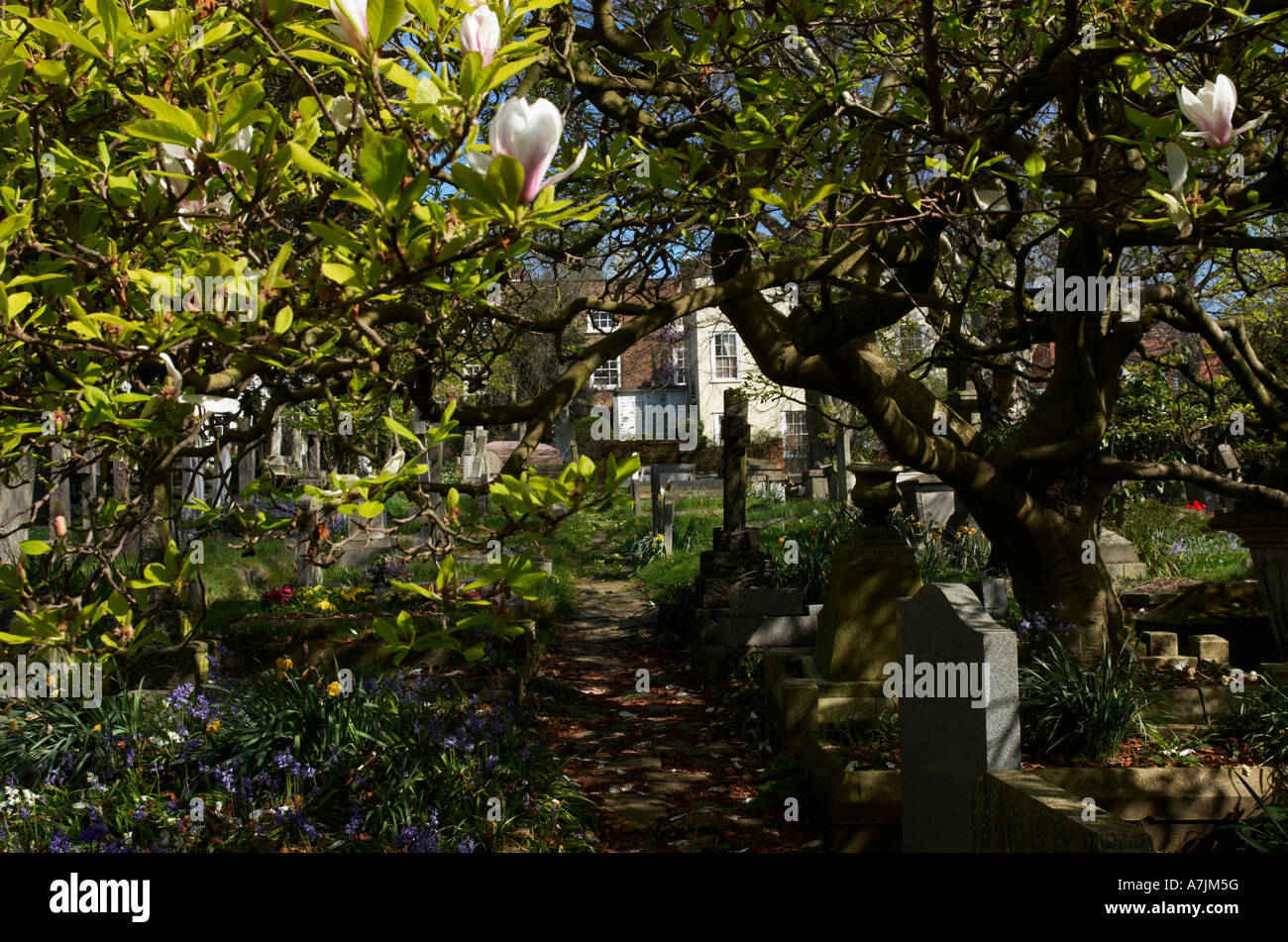 St John at Hampstead graveyard London England Stock Photo - Alamy