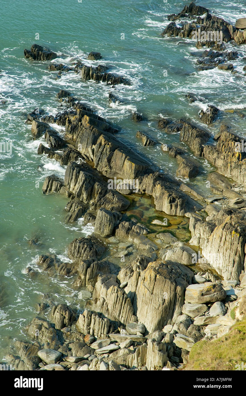 Vertical rock strata Mort Point North Devon Stock Photo - Alamy