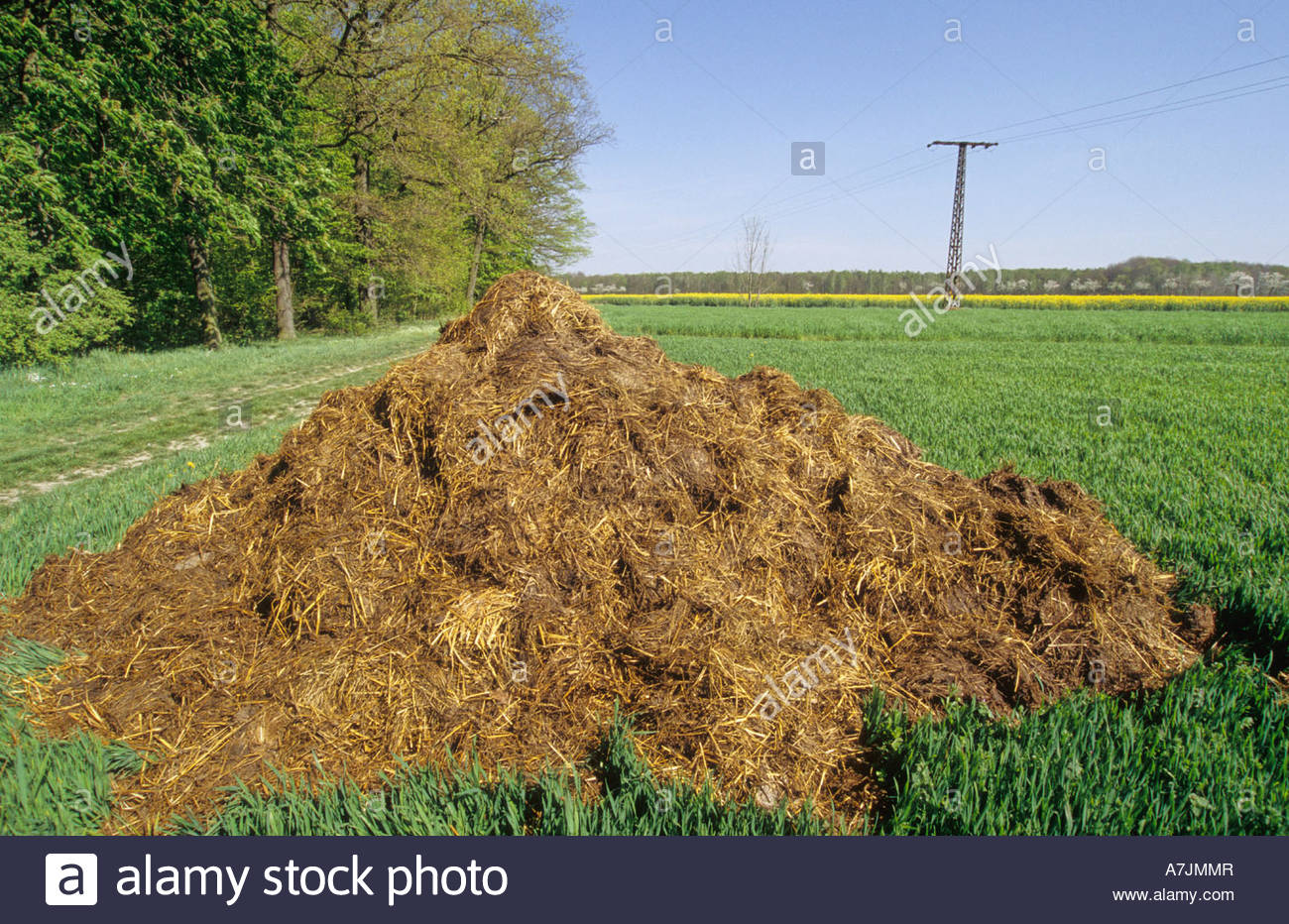 Manure Heap Stock Photos & Manure Heap Stock Images - Alamy