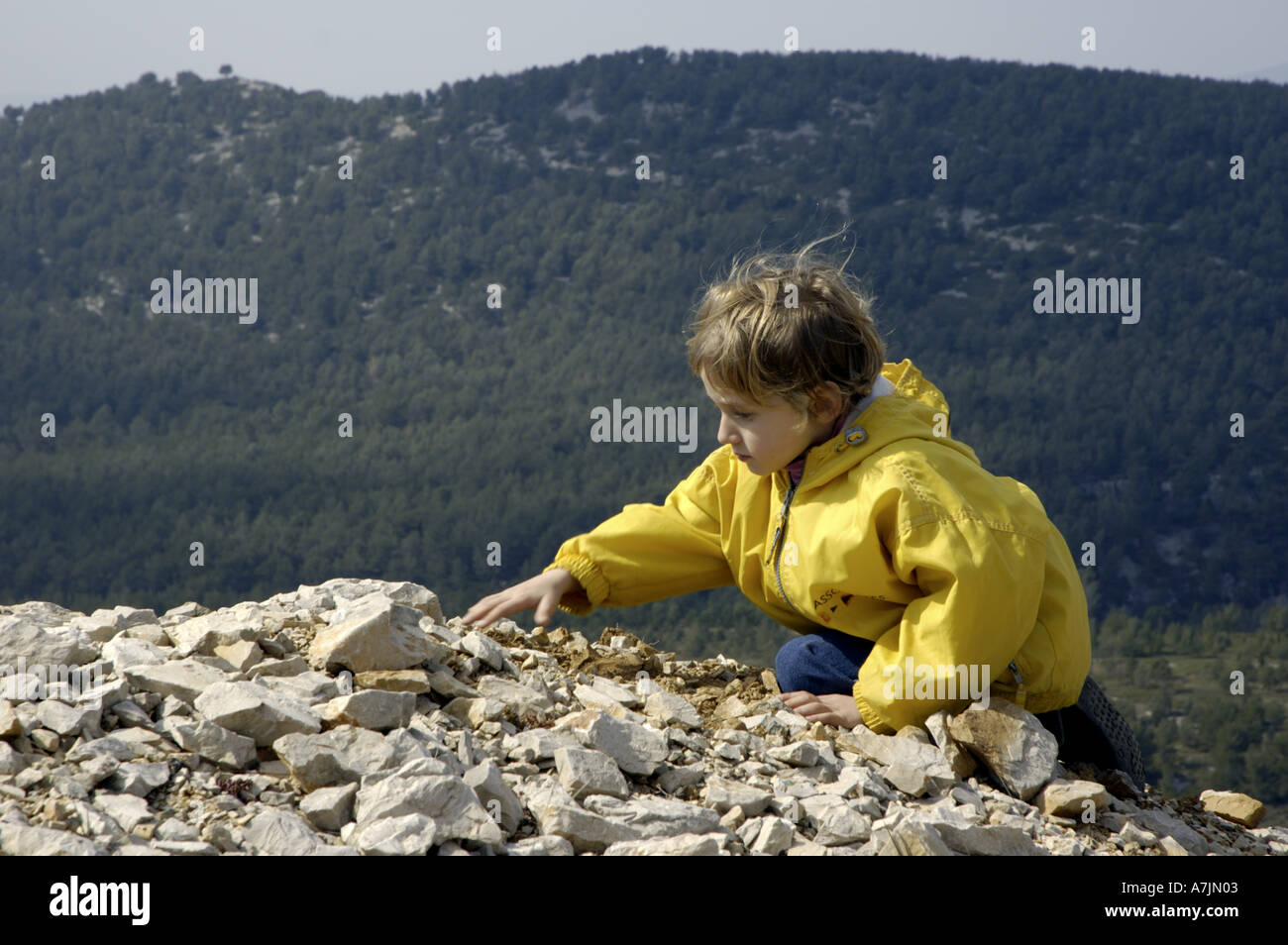 A little girl playing with rocks Stock Photo - Alamy