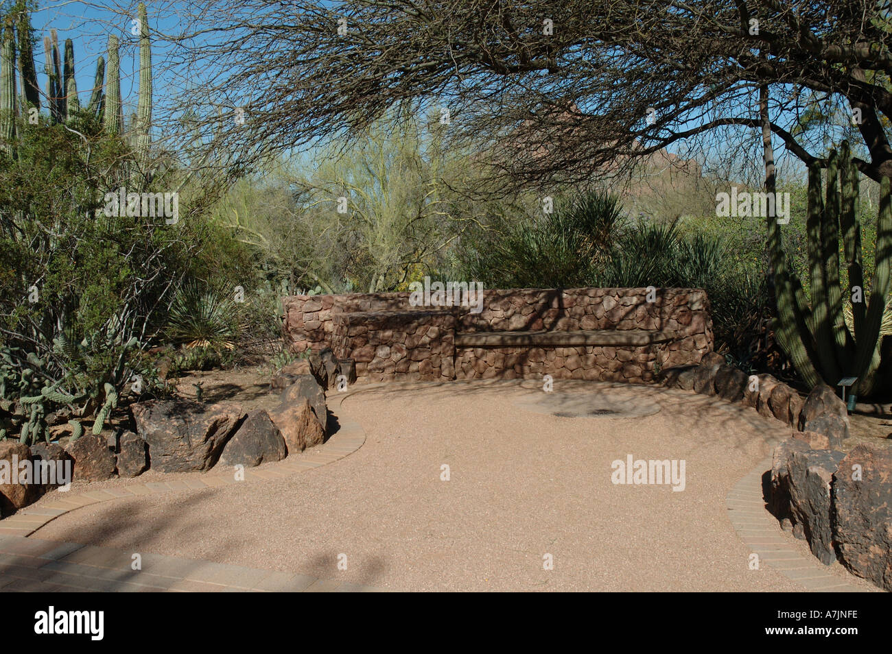 Gravel path through Arizona desert Stock Photo - Alamy
