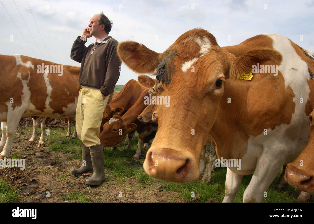 Farmer on mobile phone uk hi-res stock photography and images - Alamy