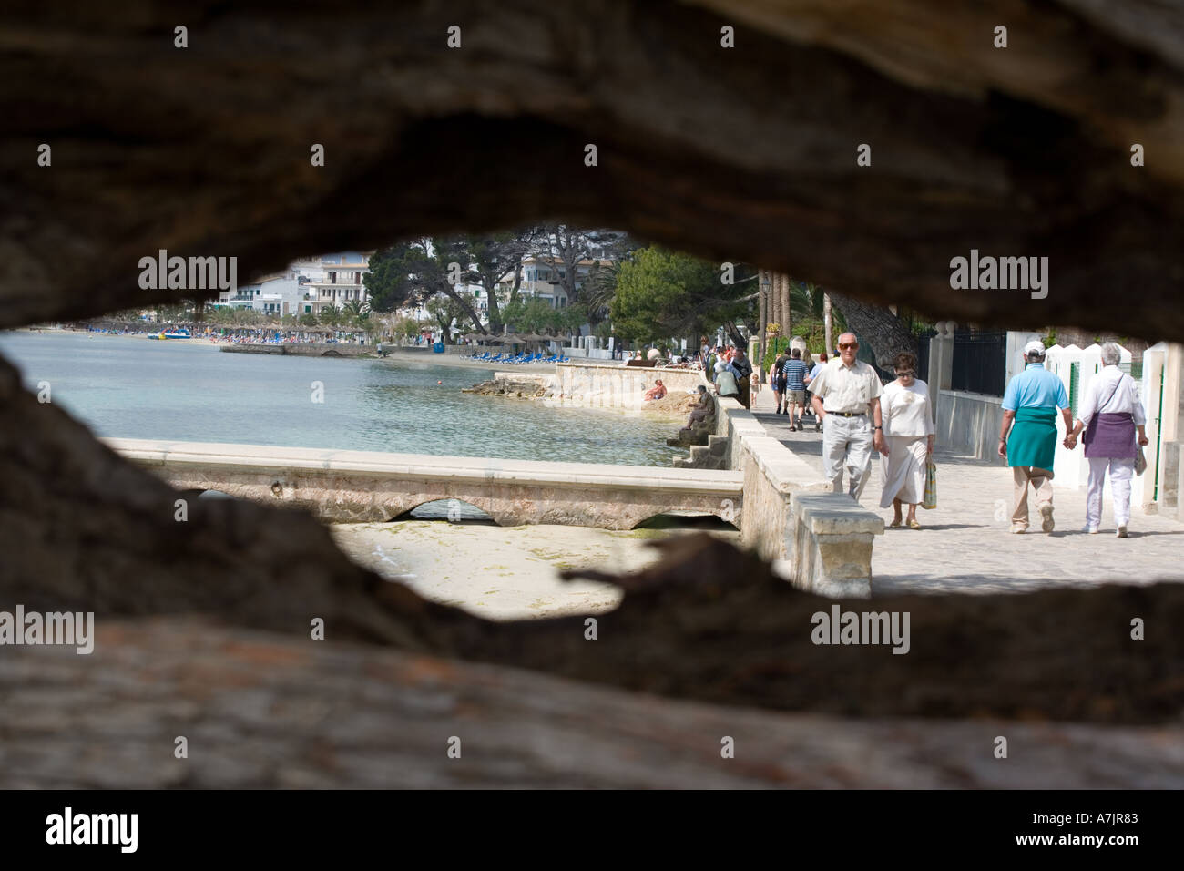 PINE WALK PUERTO POLLENSA MAJORCA Stock Photo - Alamy