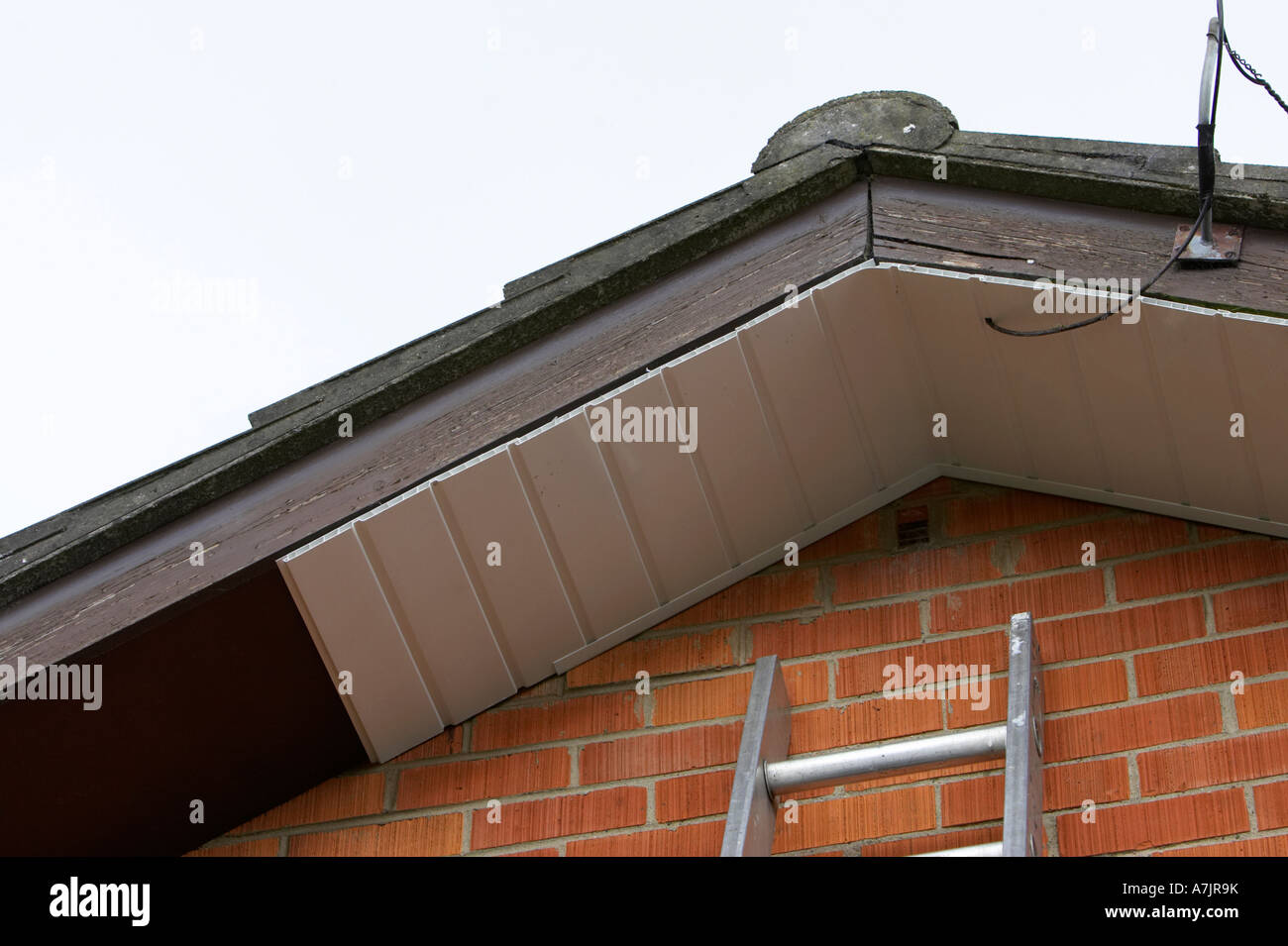 ladder reaching up to installation of white pvc cladding over old ...