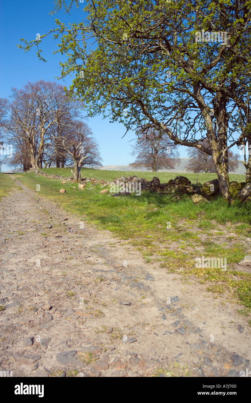 A COUNTRY PATH IN SCOTLAND PART OF THE WEST HIGHLAND WAY Stock Photo ...