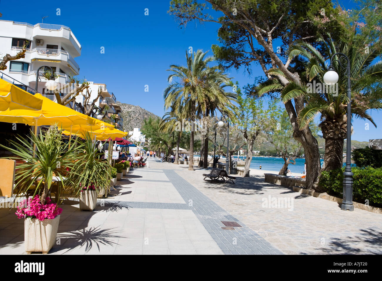 PUERTO POLLENSA MAJORCA Stock Photo - Alamy