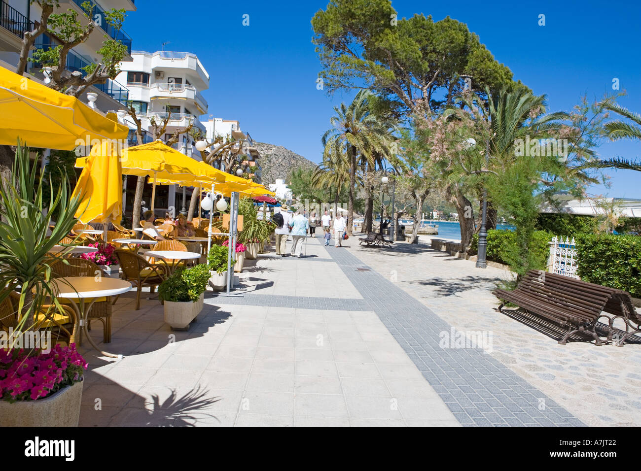 PUERTO POLLENSA MAJORCA Stock Photo - Alamy