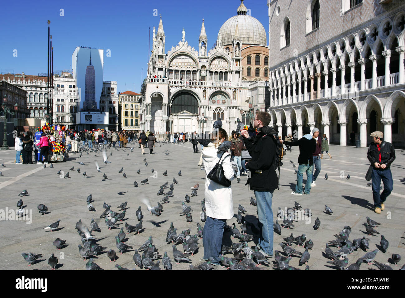 Tourists feed the pigeons in Saint Marks Square in front of St Marks ...