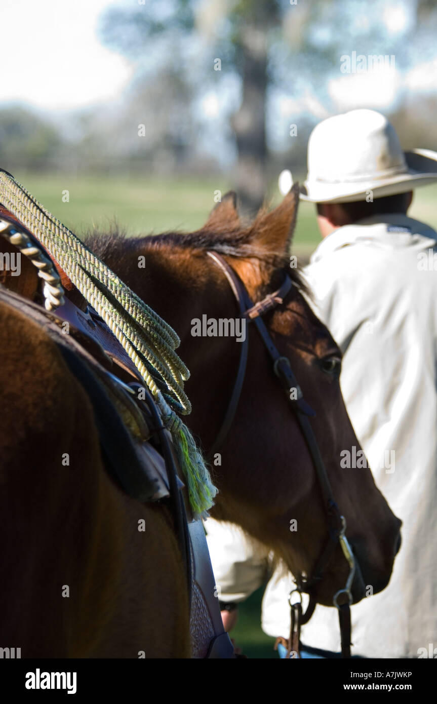 Cowboy leading horse Stock Photo - Alamy