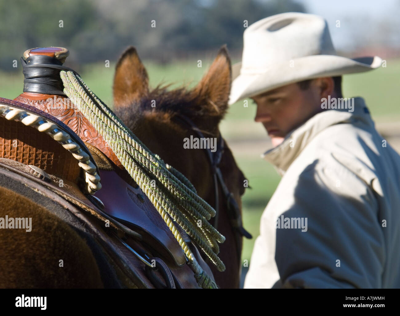 Lariat tied to saddle horn with cowboy by horse Stock Photo - Alamy