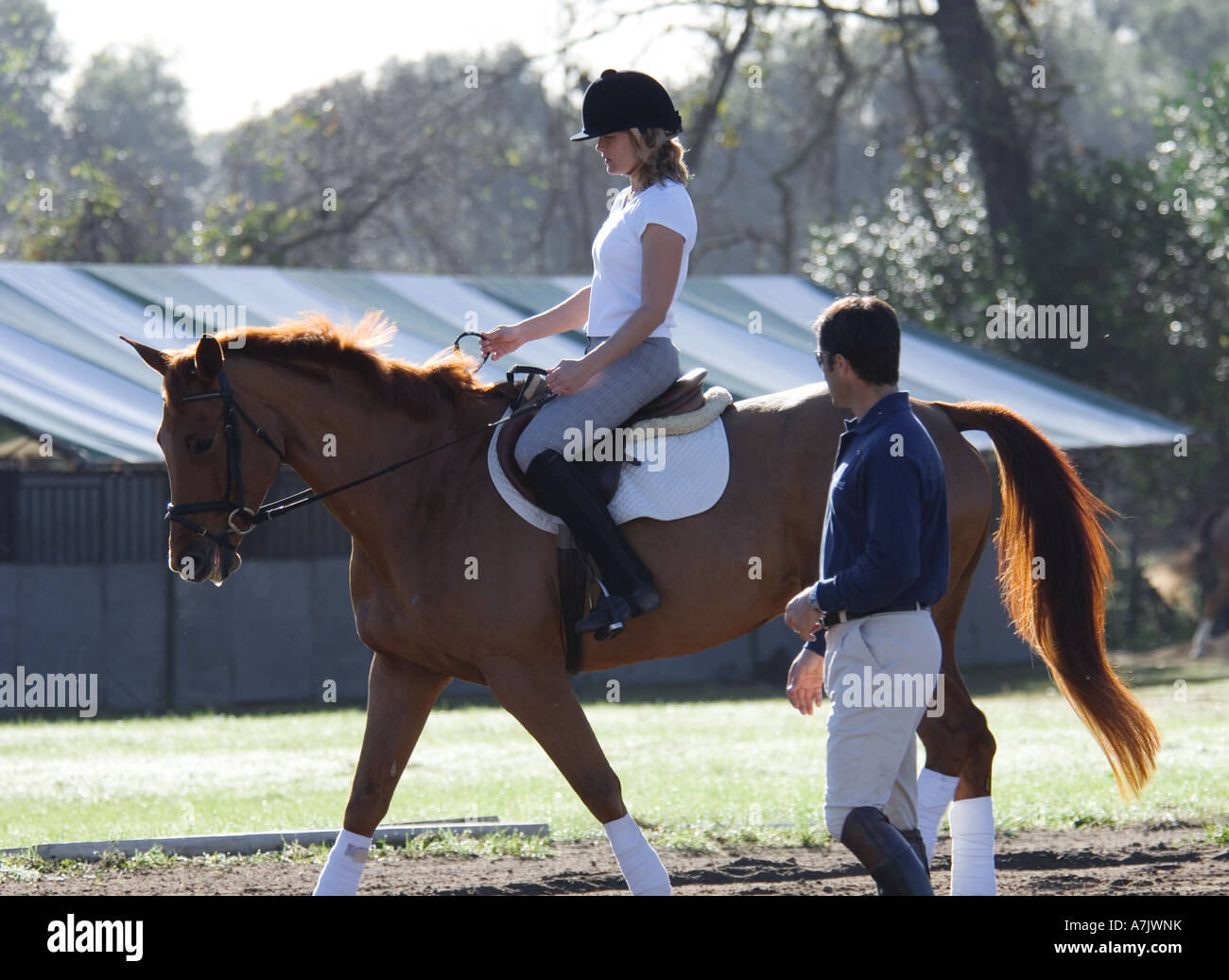 Woman rider practicing dressage with instructor Stock Photo - Alamy