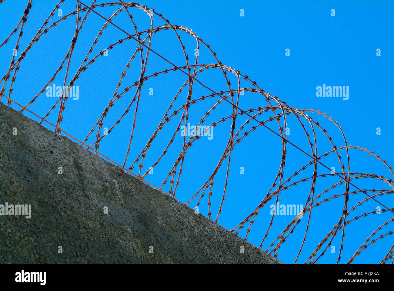 Prison Razor Wire High Resolution Stock Photography and Images - Alamy
