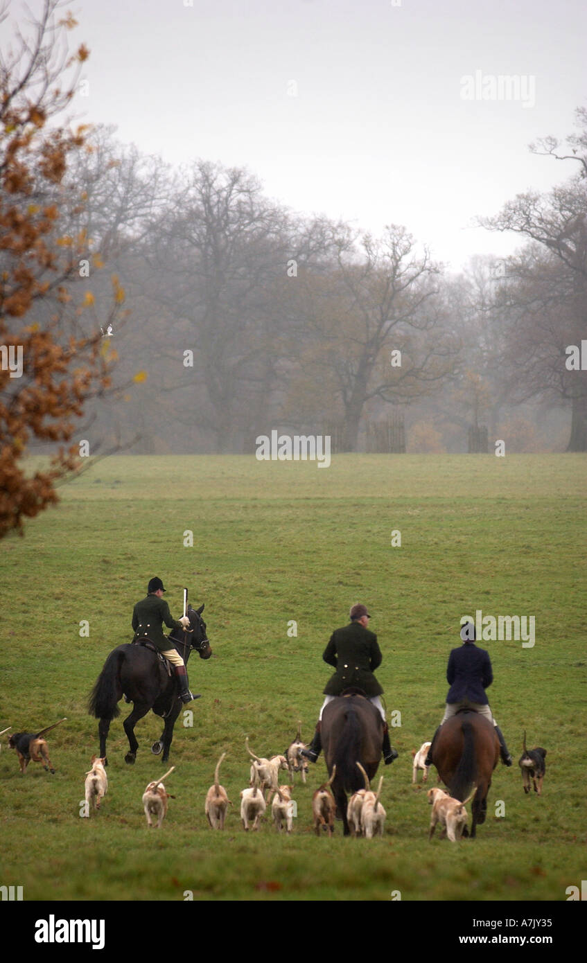 THE BEAUFORT HUNT AT A MEETING NEAR THEIR BADMINTON KENNELS SOUTH ...