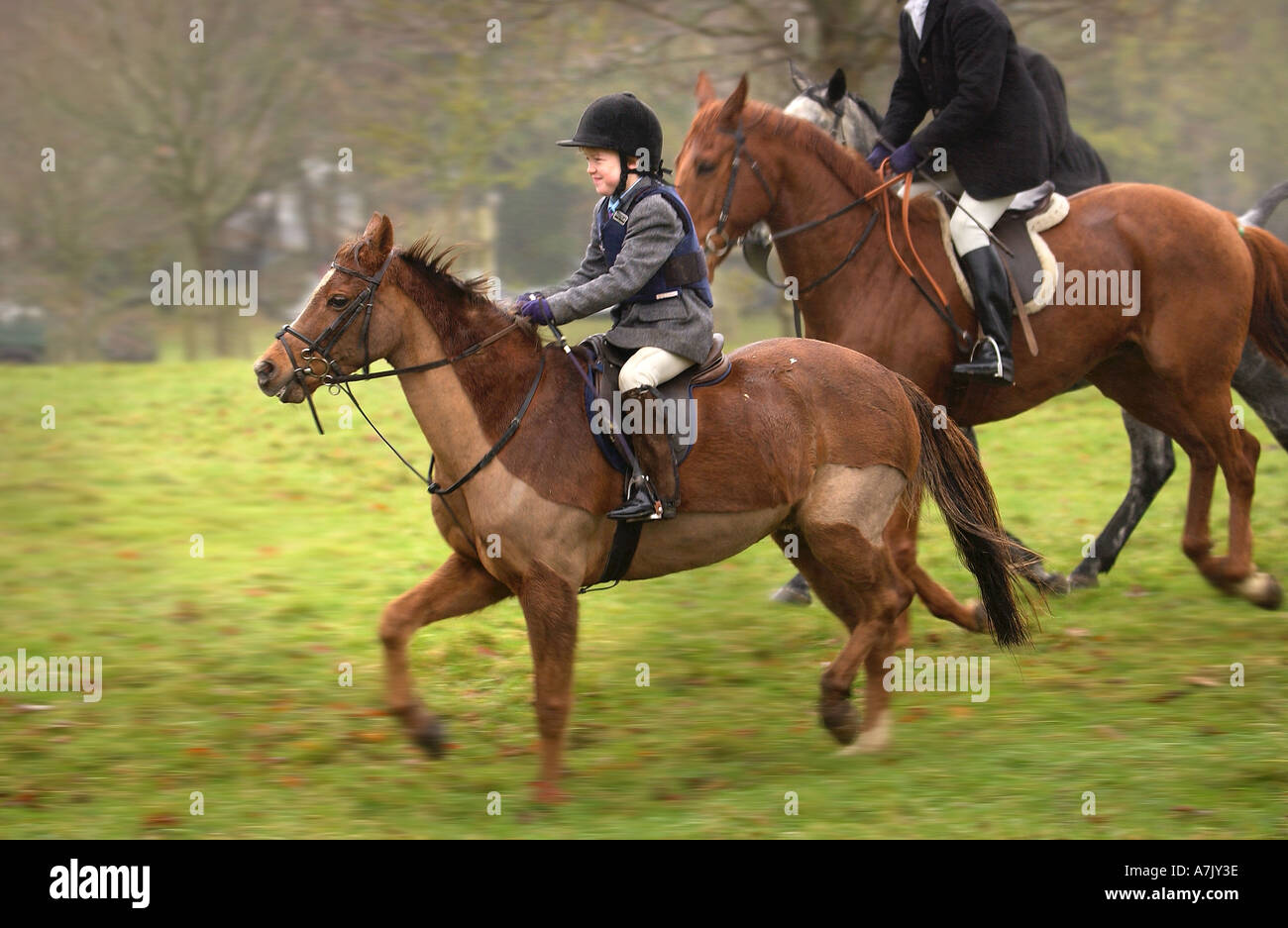 THE BEAUFORT HUNT AT A MEETING NEAR THEIR BADMINTON KENNELS SOUTH ...