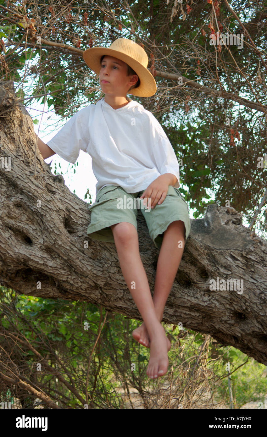 Boy climbing tree barefoot hi-res stock photography and images - Alamy