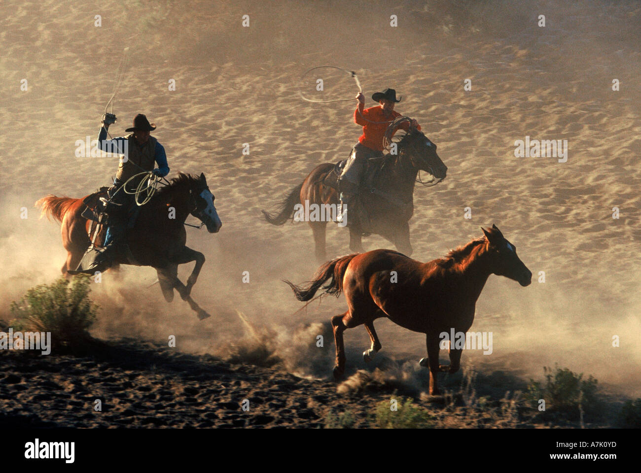 Two cowboys together horse hi-res stock photography and images - Alamy