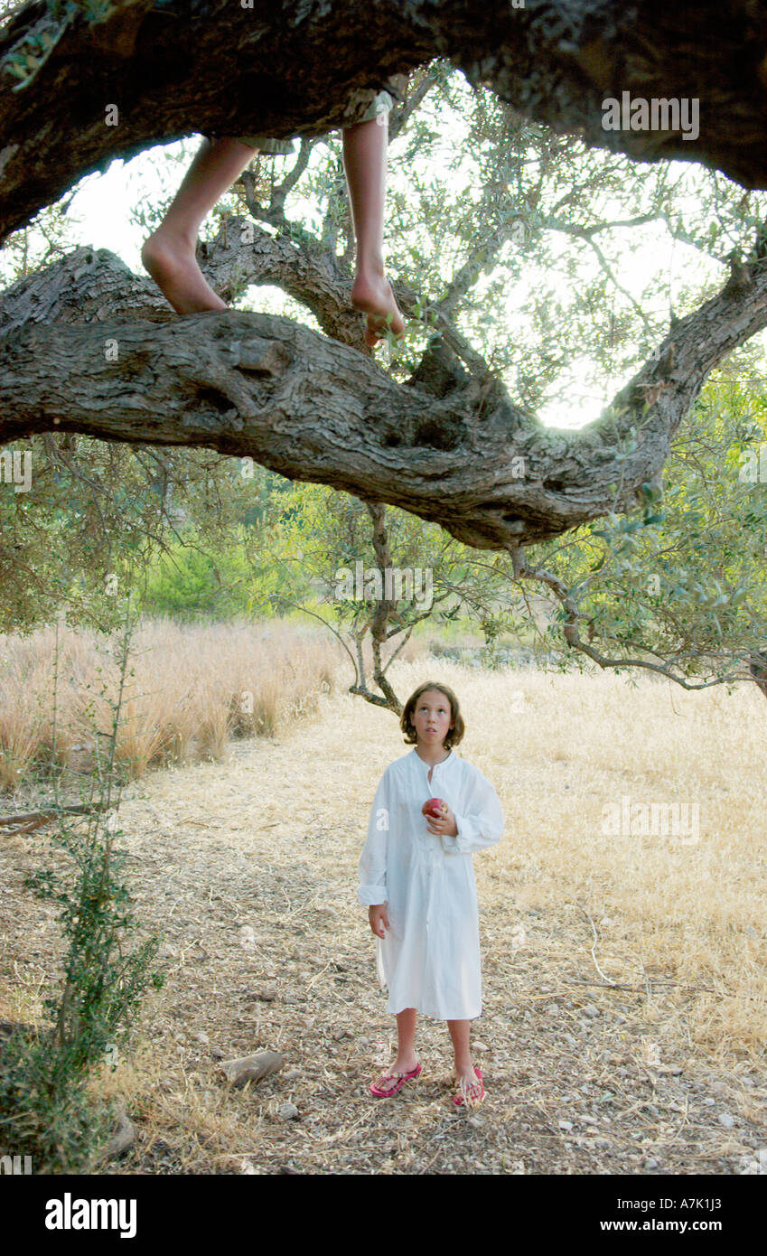 Page 2 - Boy Climbing Tree Barefoot High Resolution Stock Photography ...