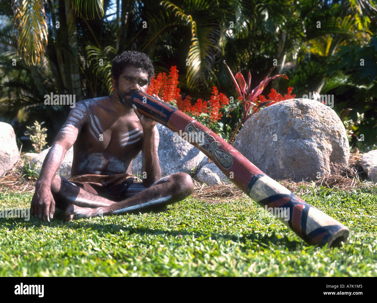 Musician australian native indigenous wind instrument hi-res stock ...
