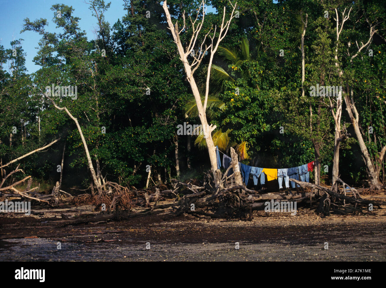 Drying everglades camping camp hi-res stock photography and images - Alamy
