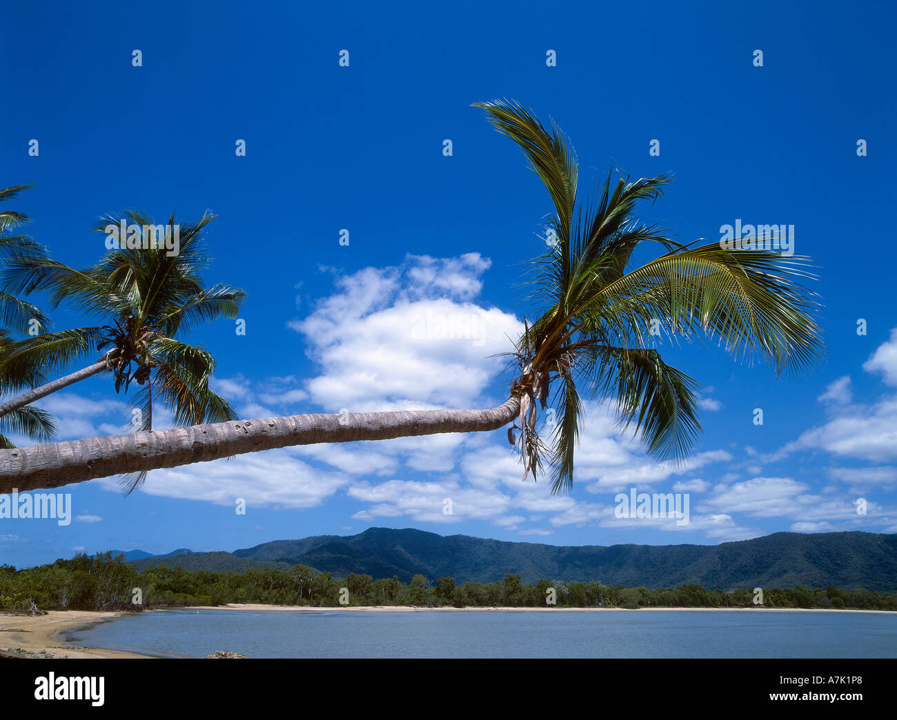 Cairns trinity beach hi-res stock photography and images - Alamy