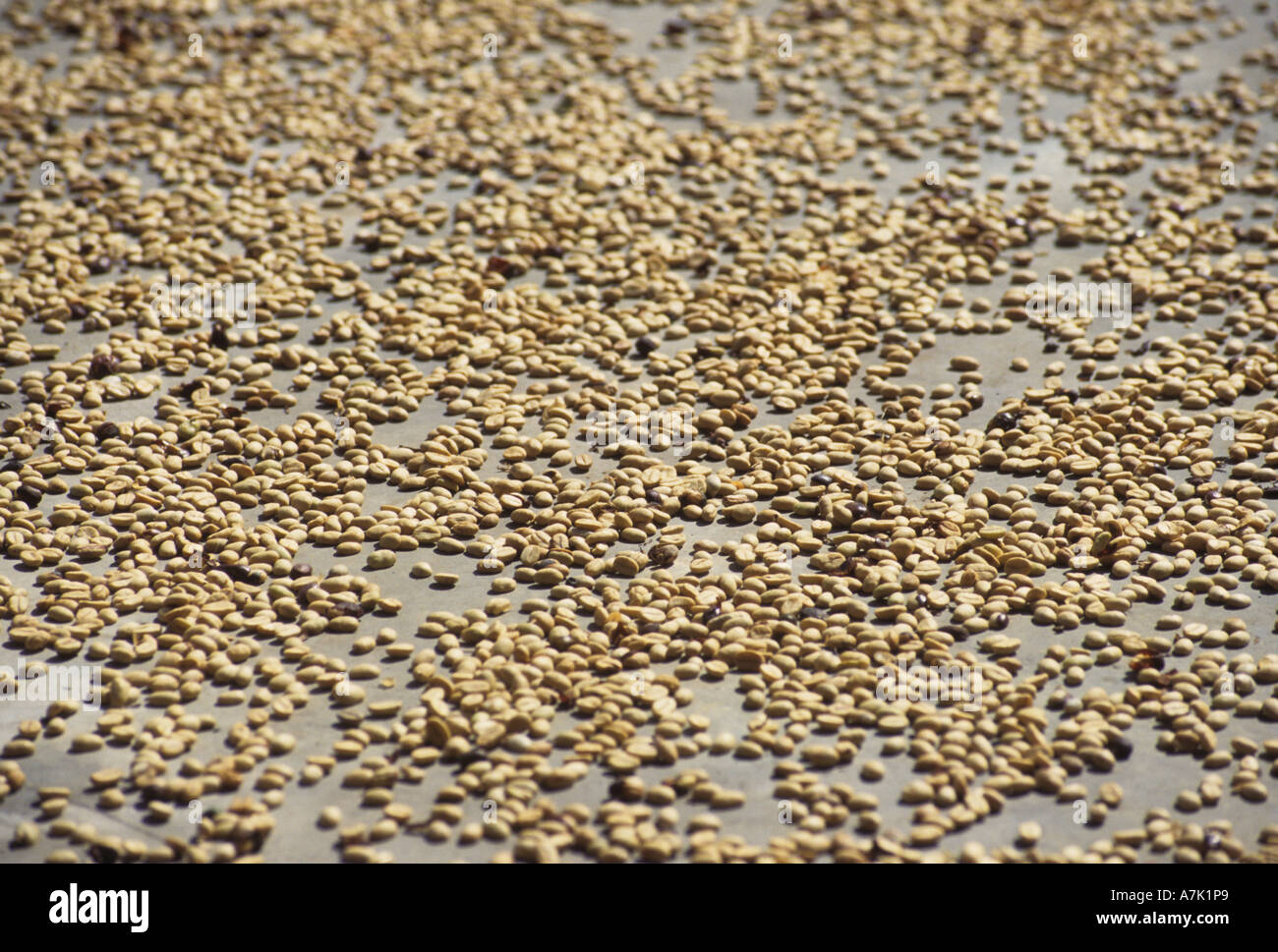 Ground drying process hi-res stock photography and images - Alamy
