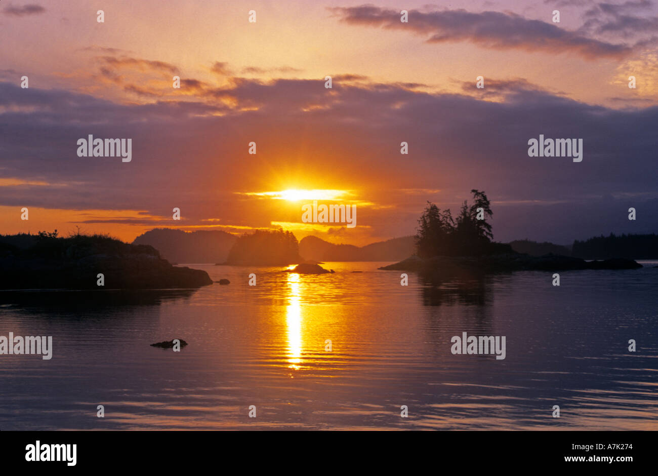 Meem hi-res stock photography and images - Alamy