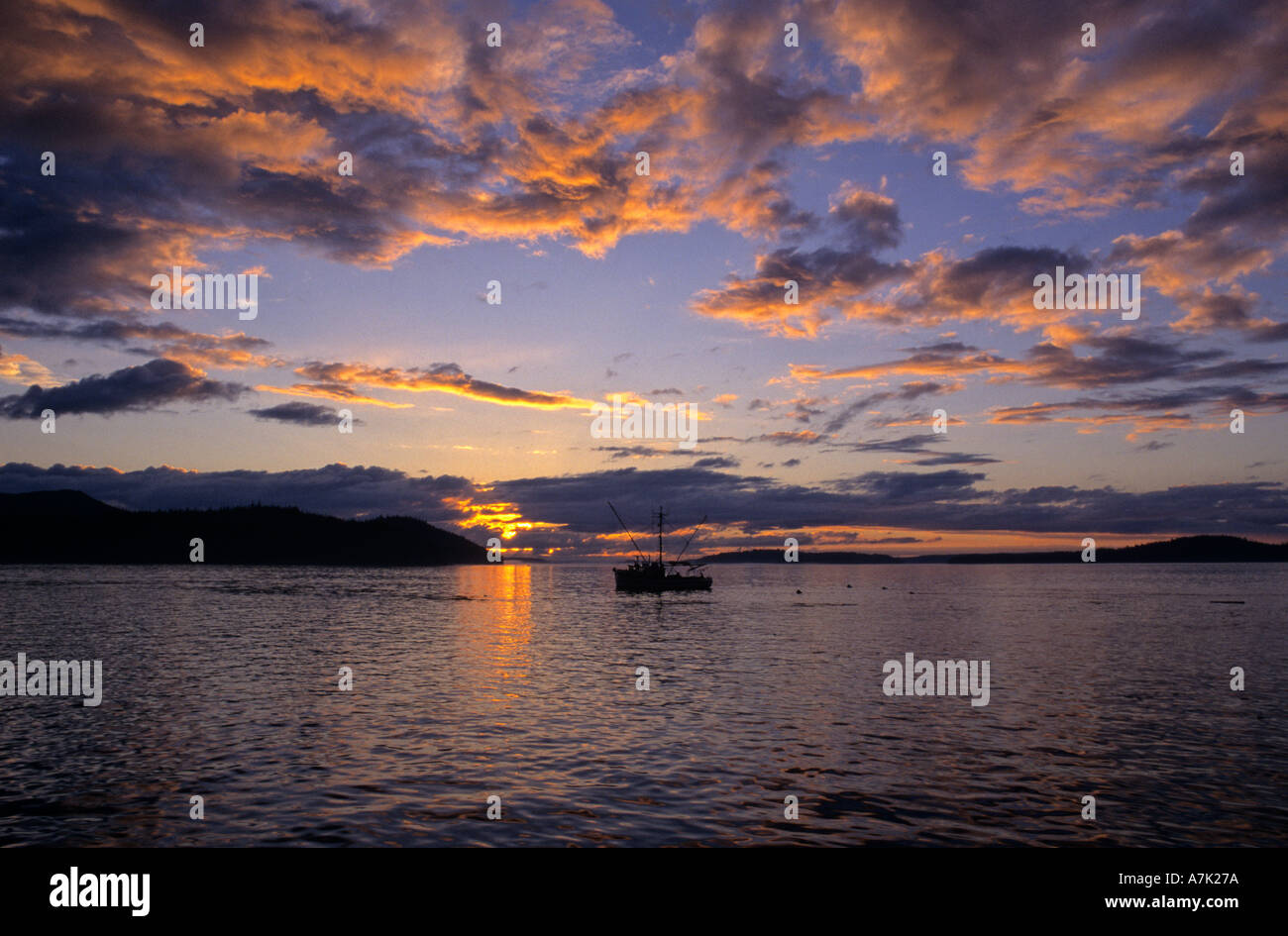Return of salmon fishing hi-res stock photography and images - Alamy