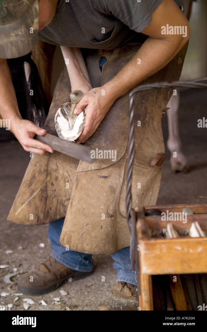 Horse shoe nails hi-res stock photography and images - Alamy