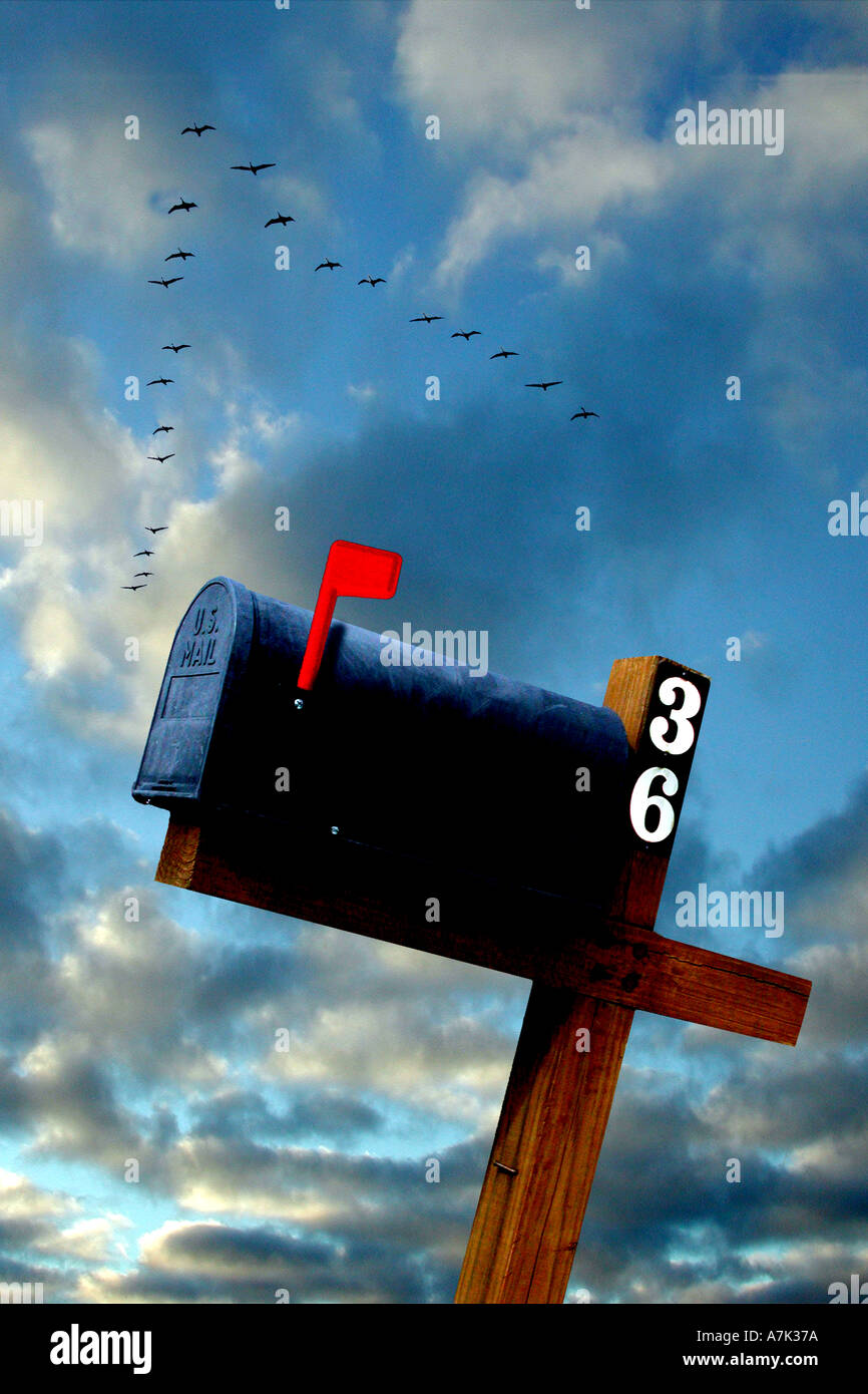 Mailbox and geese Stock Photo - Alamy