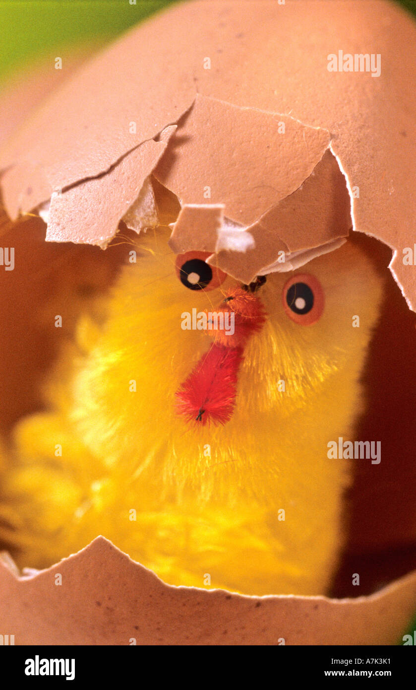 EASTER TOY CHICKS BROKEN EGG SHELL Stock Photo - Alamy
