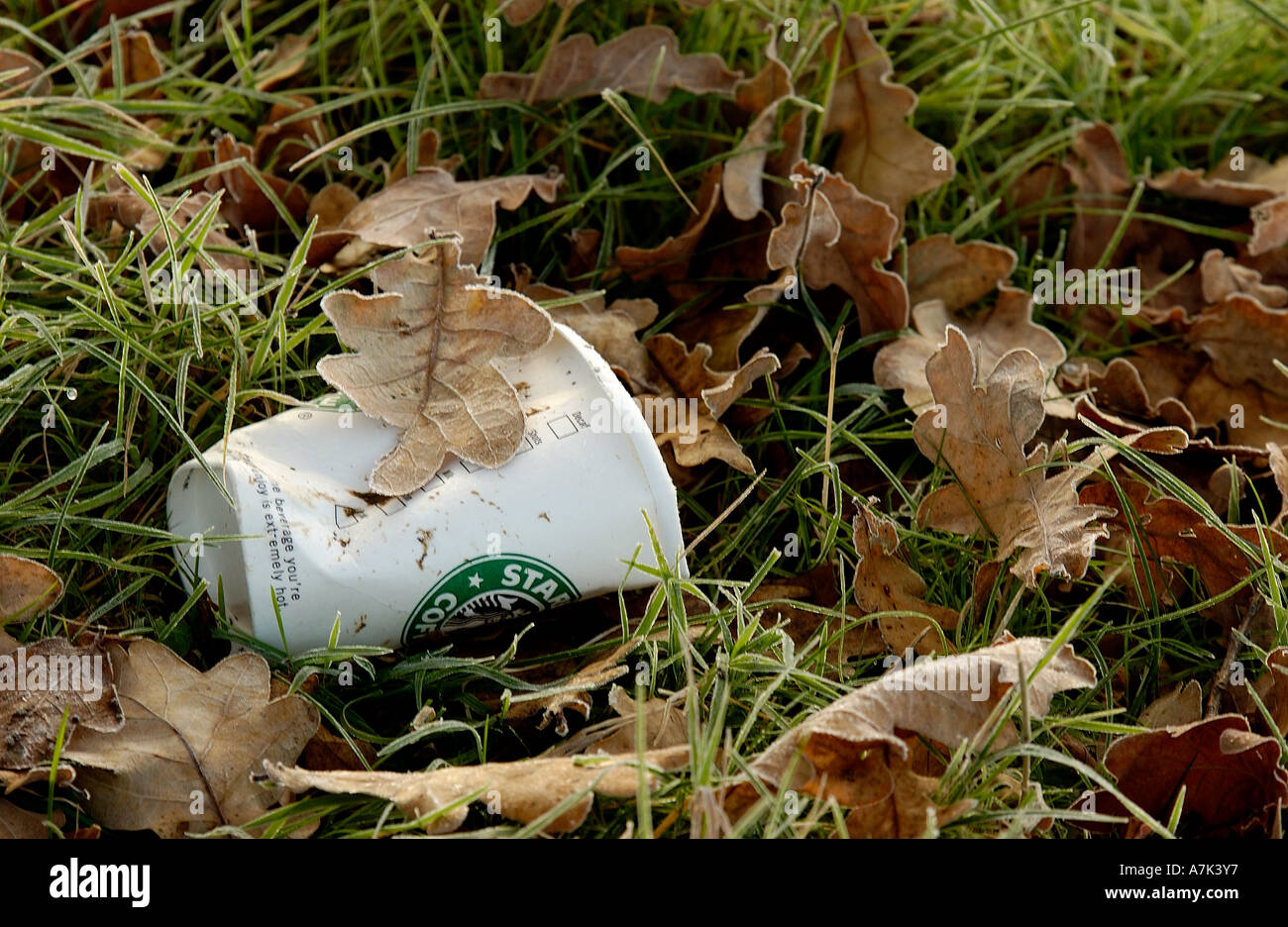 Starbucks rubbish hi-res stock photography and images - Alamy