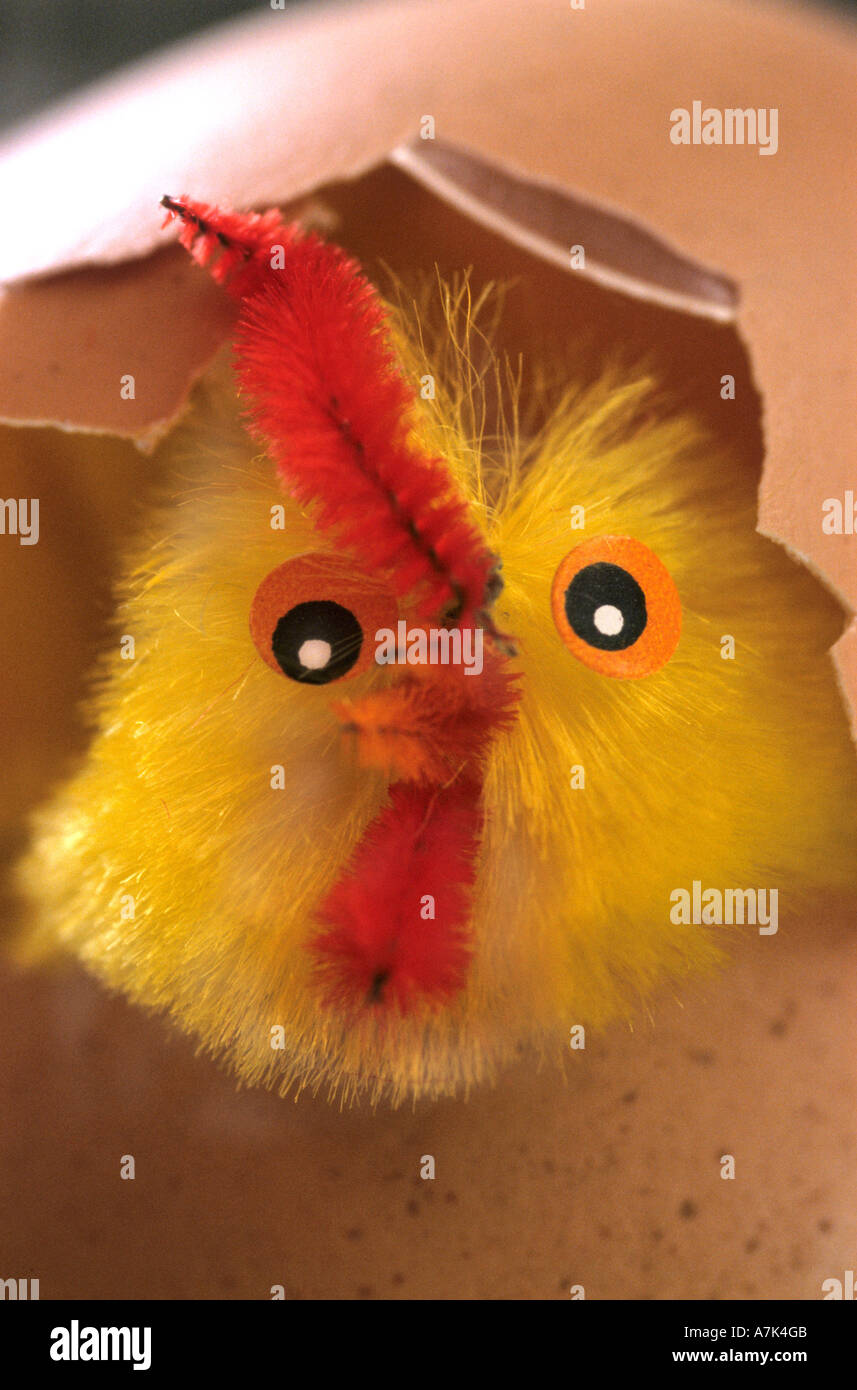 Chick and broken egg shell hi-res stock photography and images - Alamy