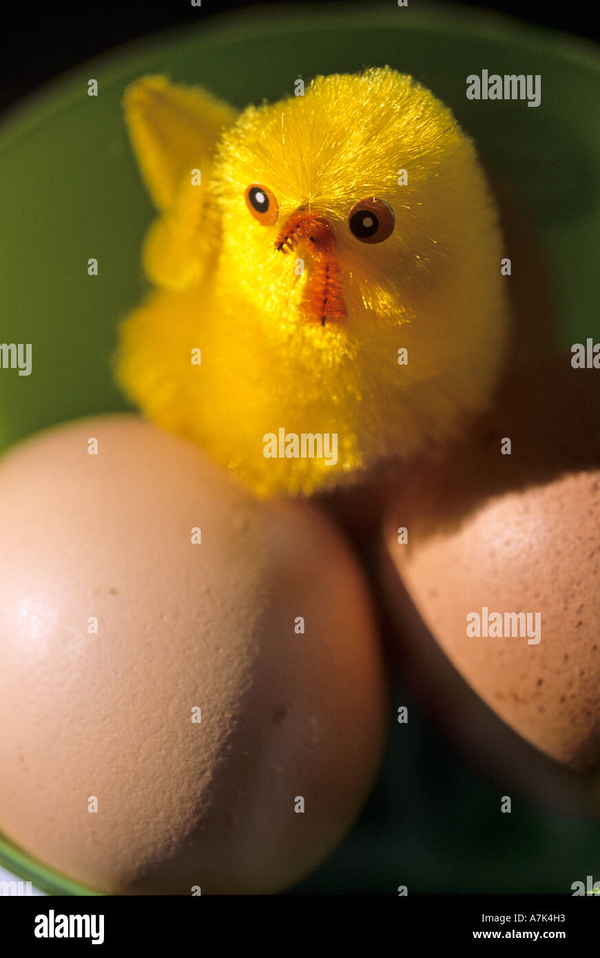 Two easter chicks hi-res stock photography and images - Alamy