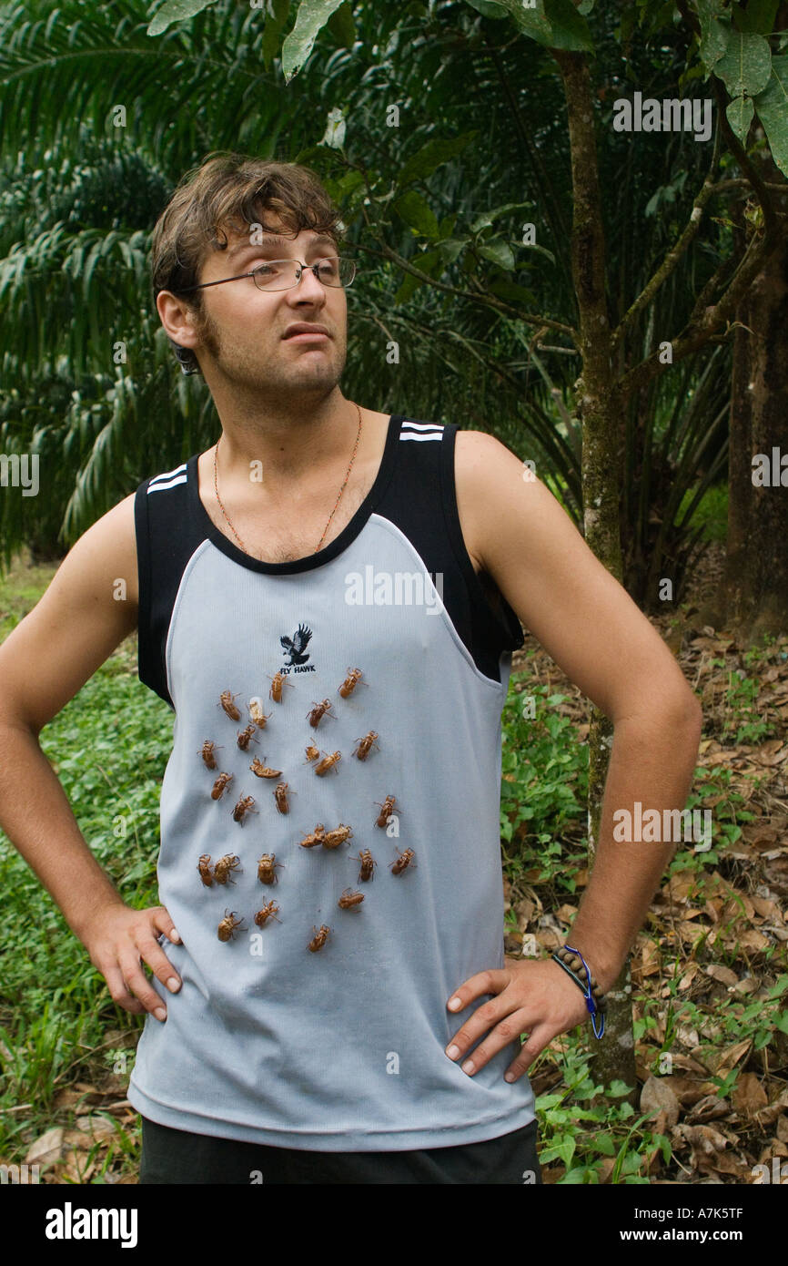 Entomologist covered with bugs in the tropical rain forest near ...