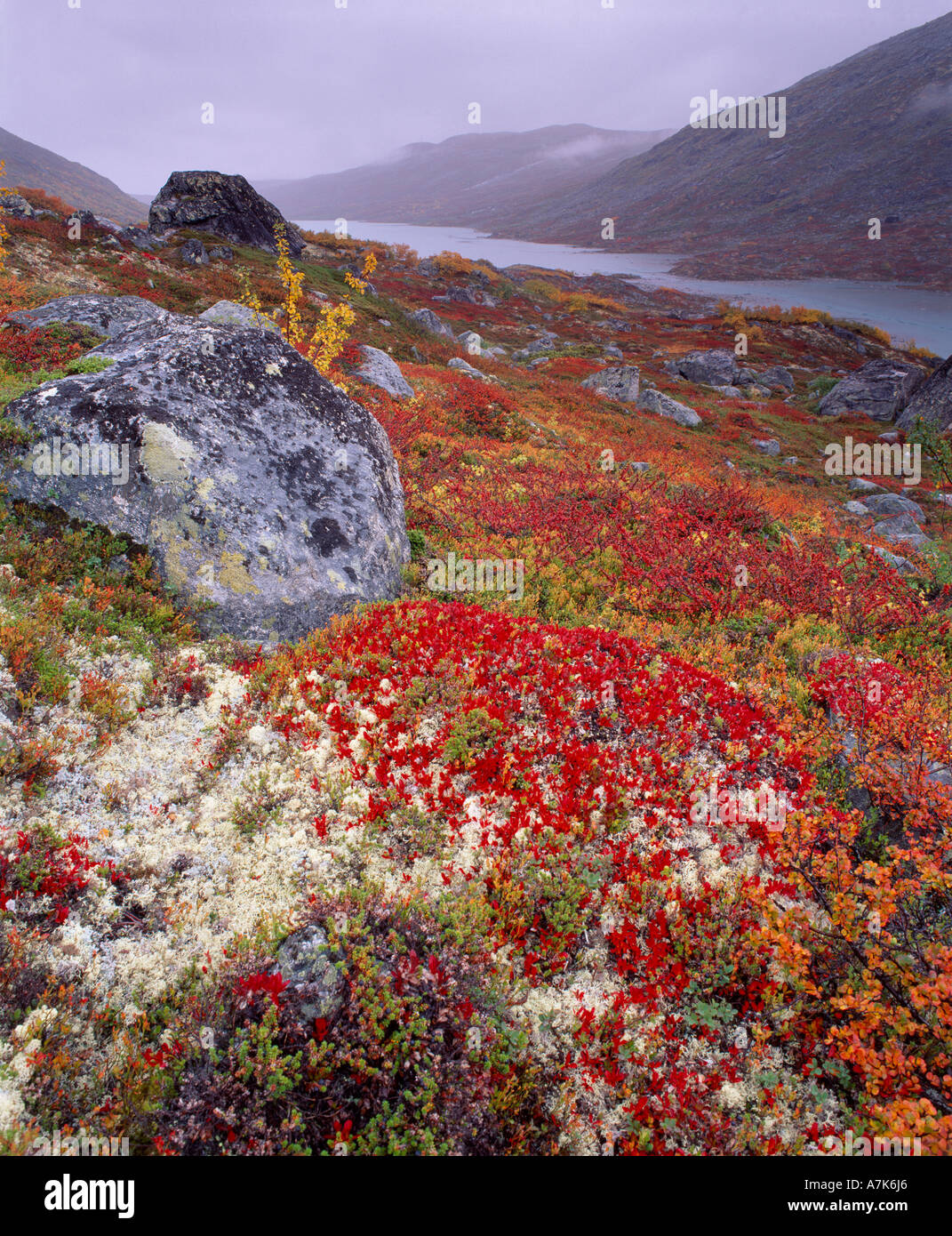 Moorland mountain landscape hi-res stock photography and images - Alamy