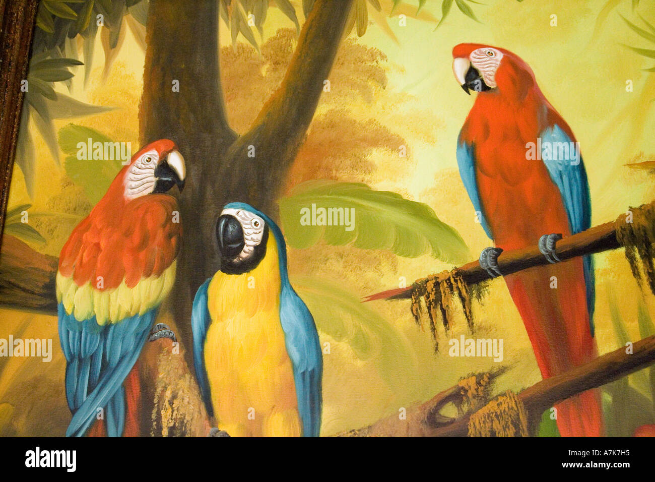 Painting of parrots in the Sierra Nevada hotel one of the finest in San ...